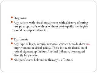 Ocular parasitic infection | PPT