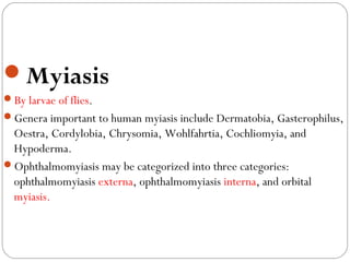 Ocular parasitic infection | PPT