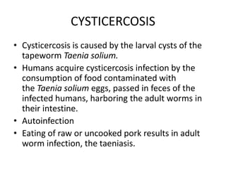 ocular cysticercosis | PPTX