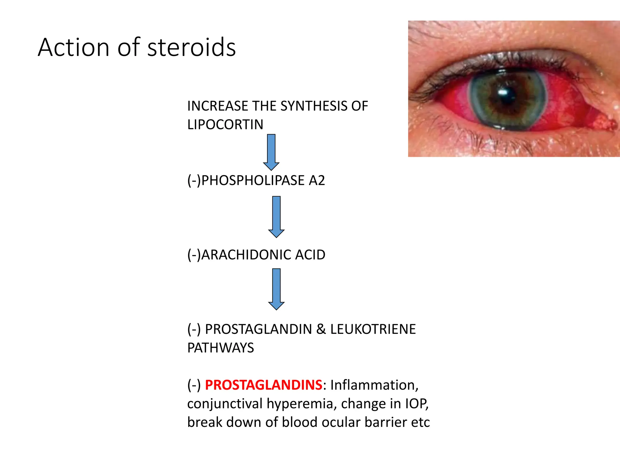 ocular pharmacology for optical std.pptx