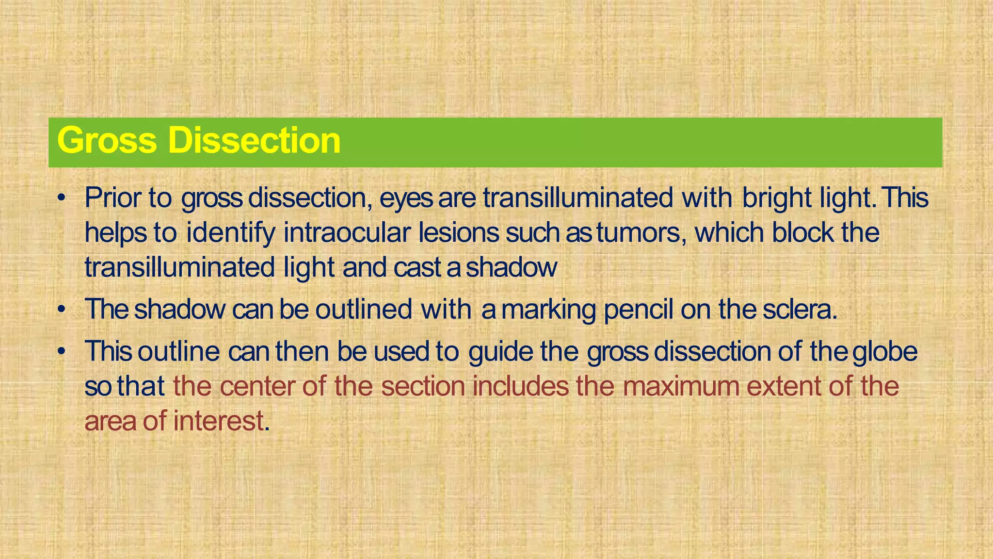 Ocular pharmacology [autosaved] | PPTX