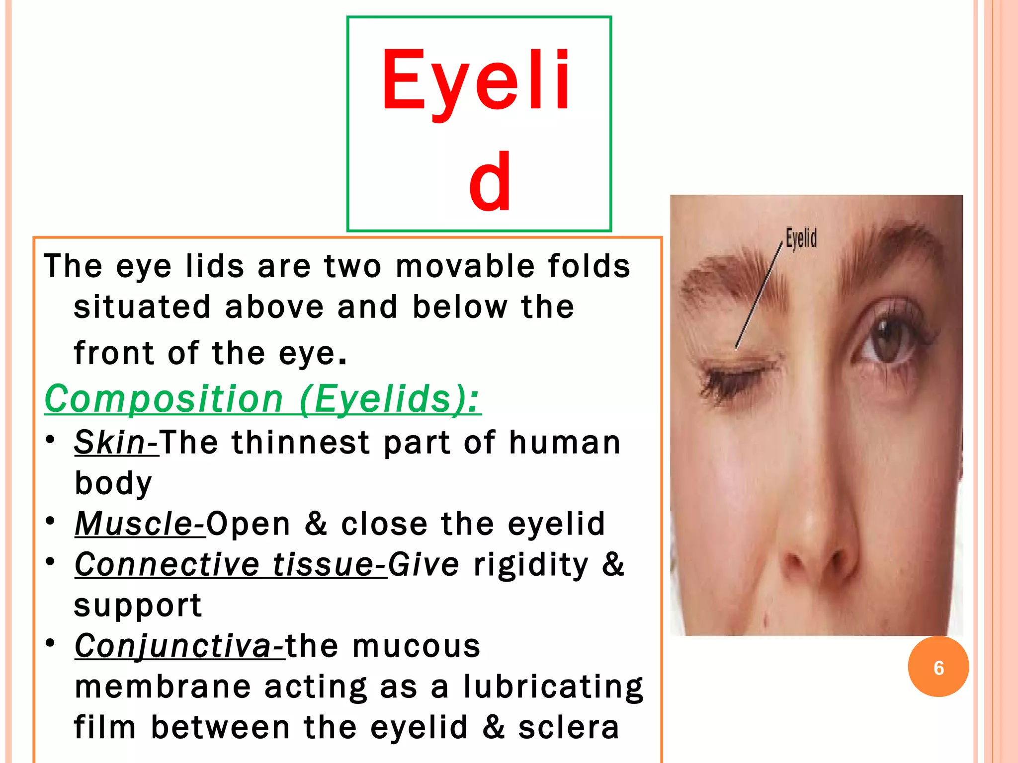 Ocular physiology_2014 | PPT