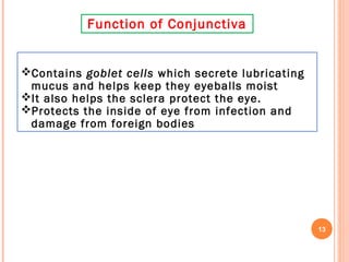 Ocular physiology_2014 | PPT