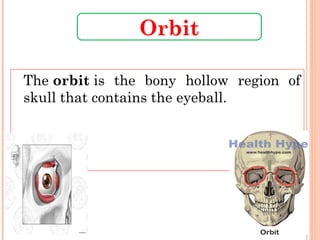 Ocular physiology_2014 | PPT