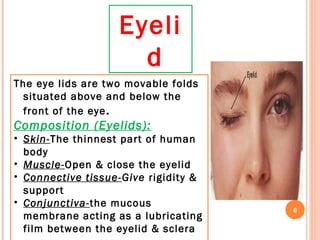Ocular physiology_2014 | PPT