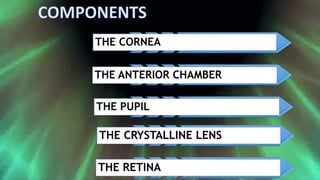 Ocular structure as camera | PPTX
