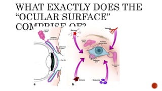 Dry Eye and Ocular surface diseases in diabetes mellitus | PPTX