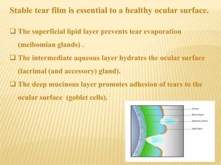 ocular surface lecture.pptx