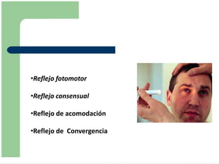 Nervio Oculomotor | PPTX