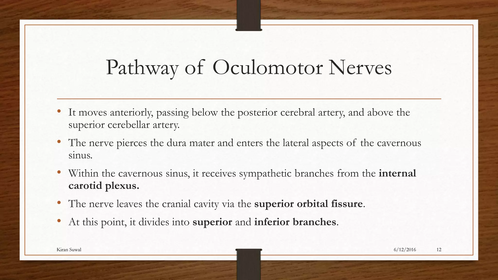 3rd cranial nerve :Oculomotor nerve | PPTX
