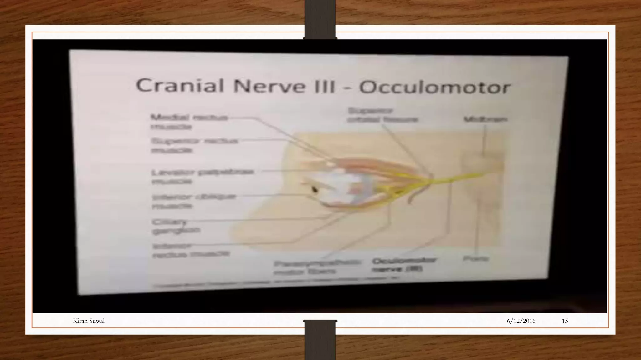 3rd cranial nerve :Oculomotor nerve | PPTX