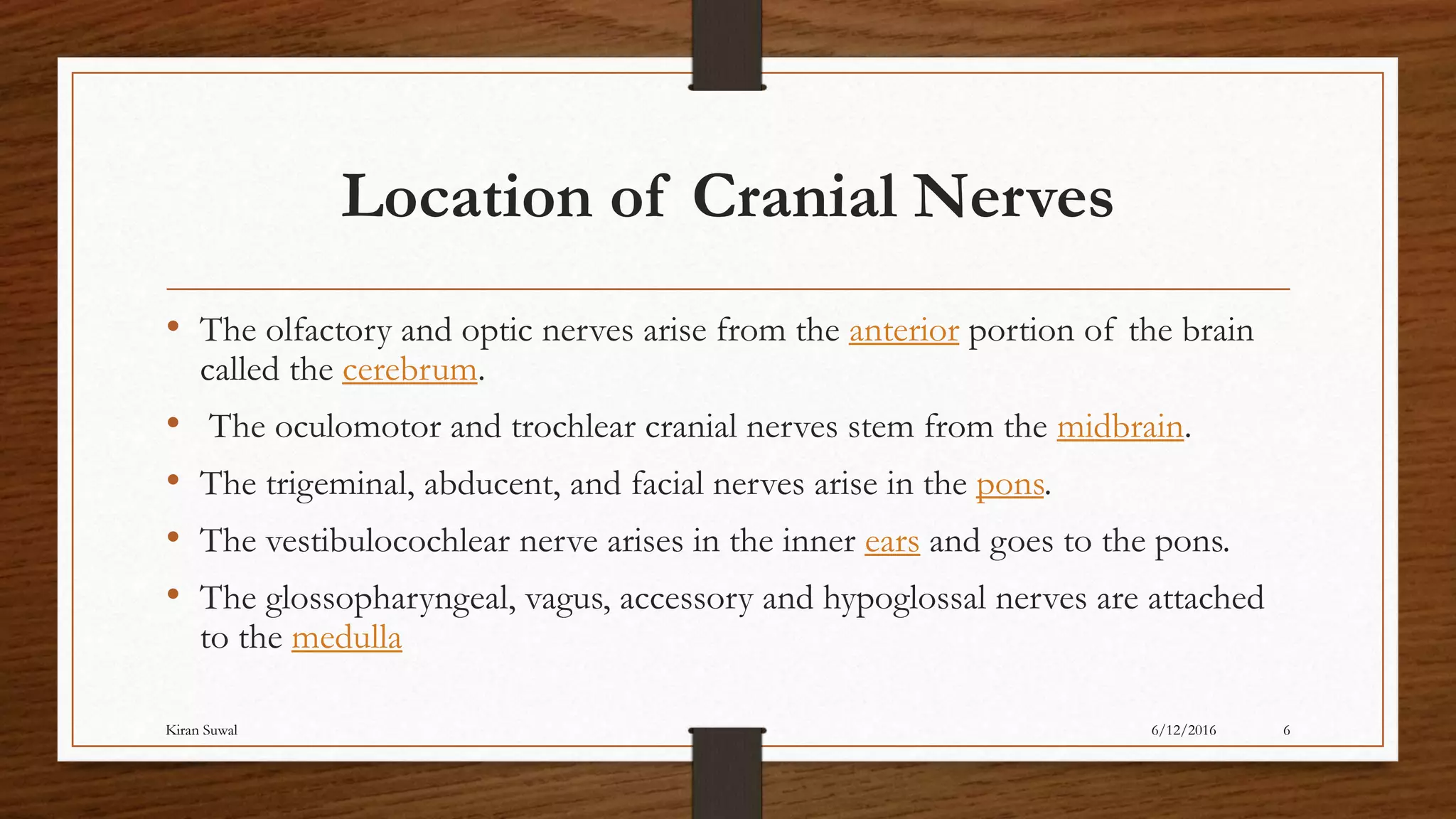 3rd cranial nerve :Oculomotor nerve | PPTX