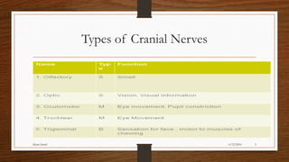 3rd cranial nerve :Oculomotor nerve | PPTX
