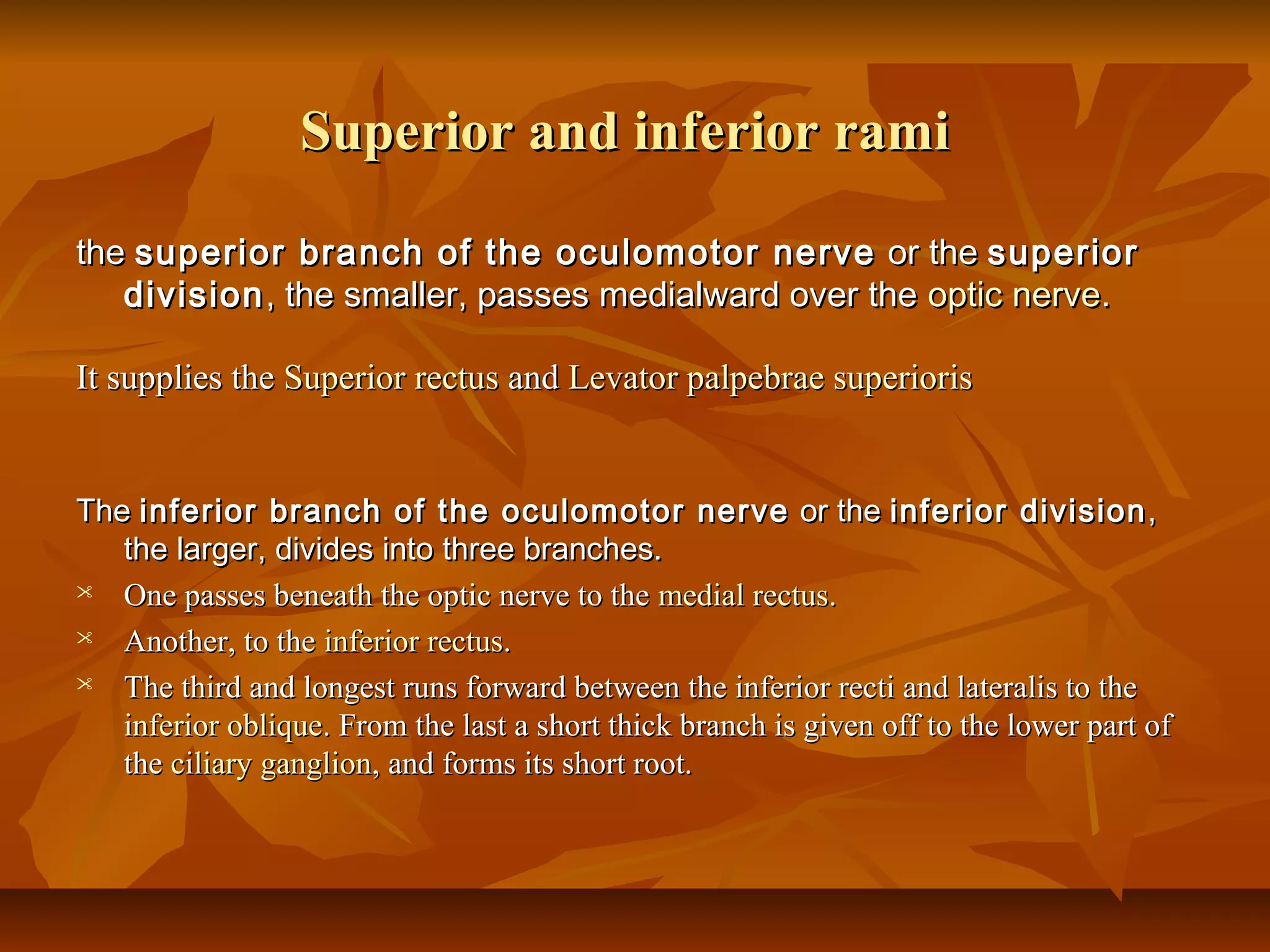 презентация Oculomotor | PPT