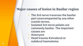 Oculomotor nerve | PPT