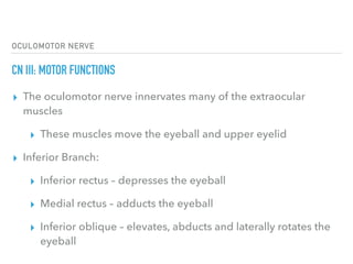 Oculomotor nerve | PDF | Eye and Vision Conditions | Diseases and ...