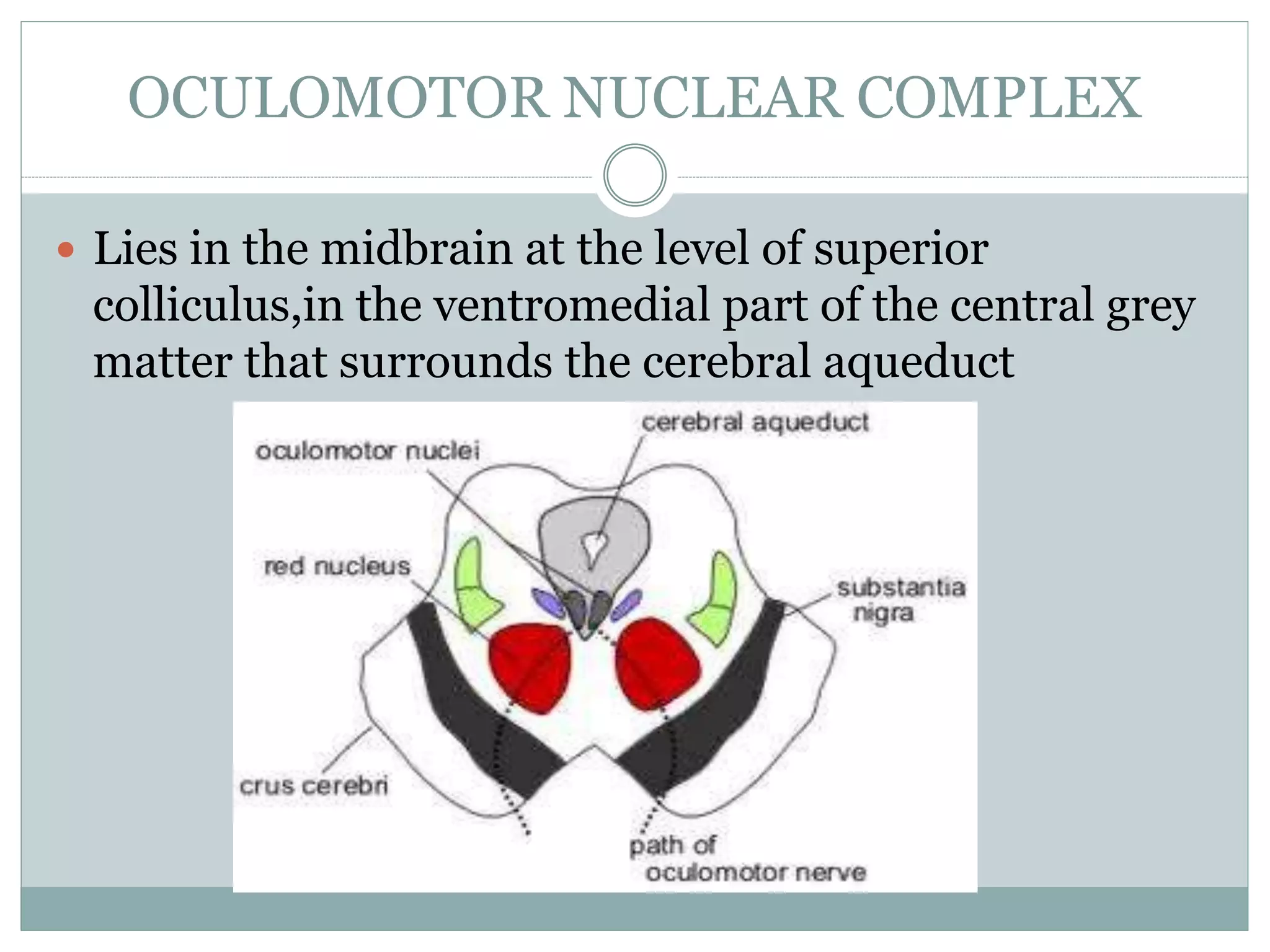 oculomotor nerve.pptx
