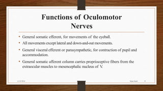 Oculomotor nerve presentation (4).pptx