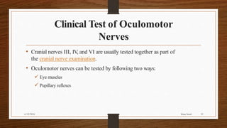 Oculomotor nerve presentation (4).pptx