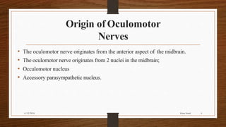 Oculomotor nerve presentation (4).pptx