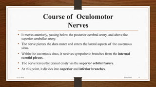 Oculomotor nerve presentation (4).pptx