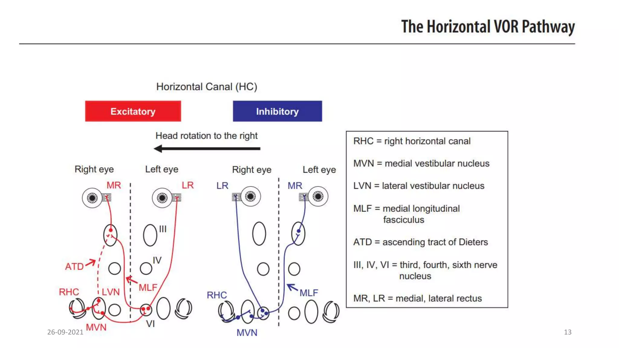 supranuclear control of eye movement | PPTX