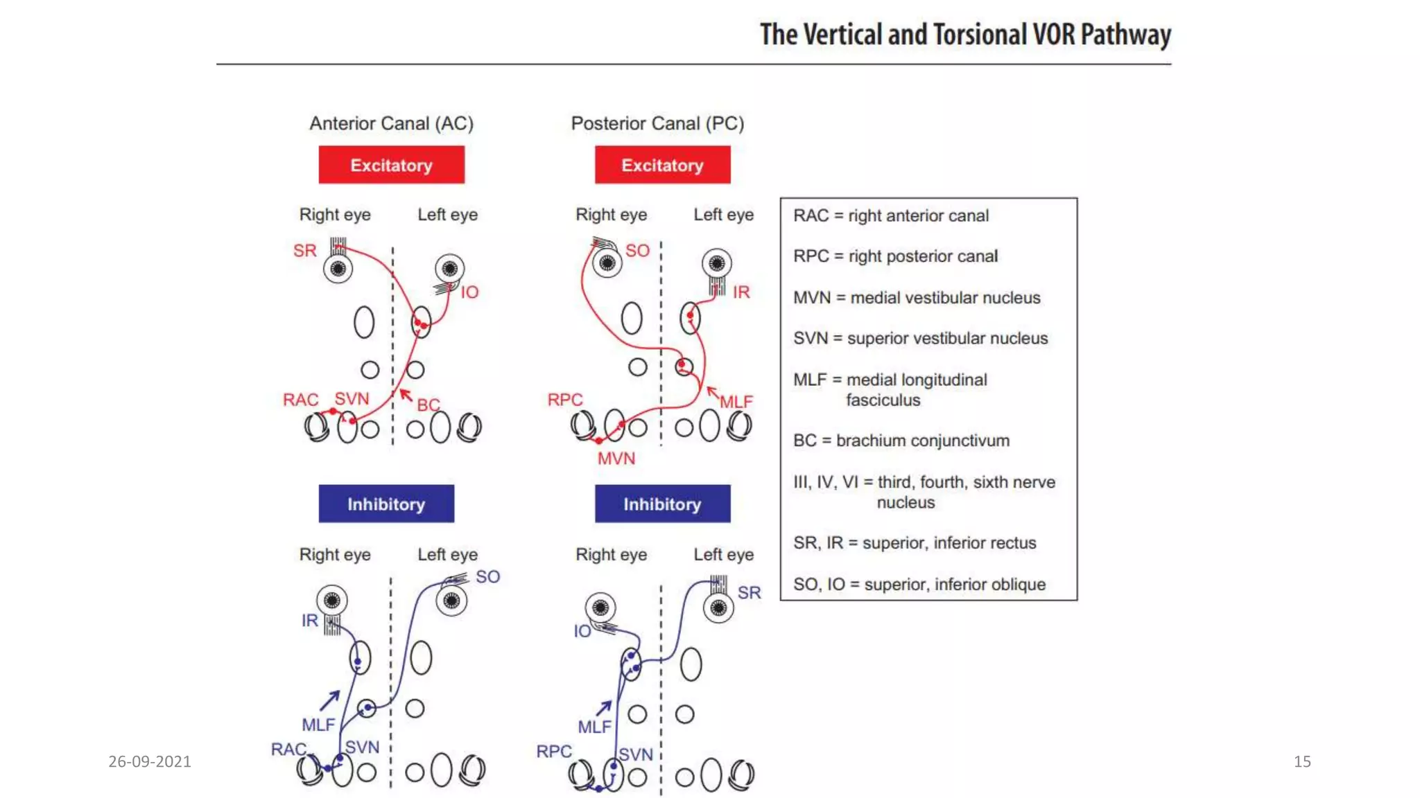 supranuclear control of eye movement | PPTX