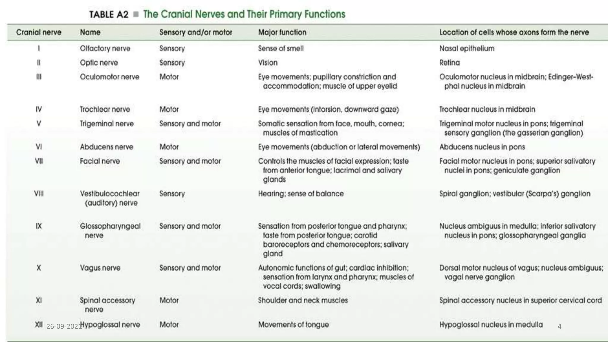 supranuclear control of eye movement | PPTX