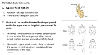 supranuclear control of eye movement | PPTX