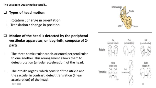 supranuclear control of eye movement | PPTX