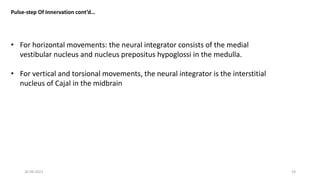 supranuclear control of eye movement | PPTX