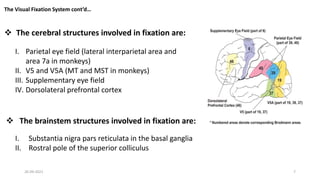 supranuclear control of eye movement | PPTX