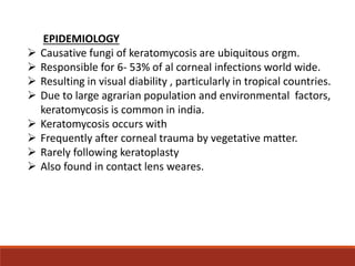 Keratomycosis