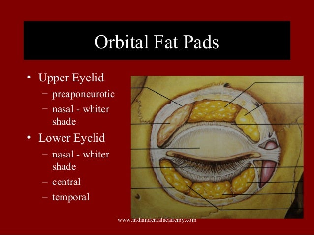 Oculoplastics review