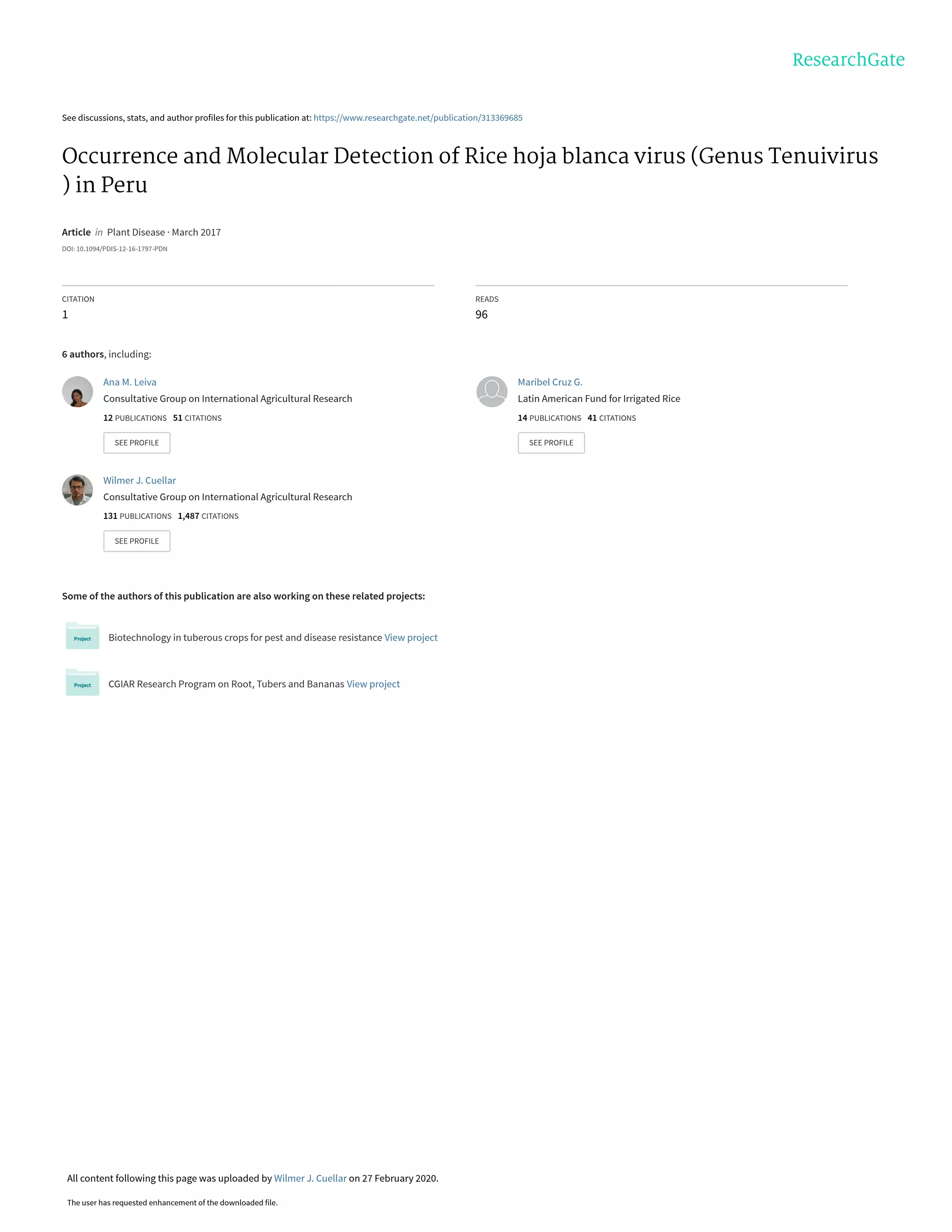 Ocurrence and molecular detection of rice hoja blanca virus (genus ...