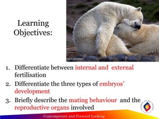 Ocw [animal reproduction] | PPT