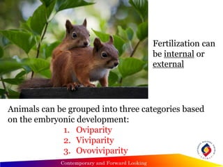 Ocw [animal reproduction] | PPT