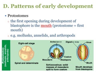Ocw [taxonomy and identification] | PPTX