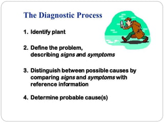 Diagnostic Process | PPTX