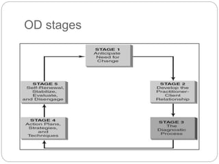 Diagnostic Process | PPTX