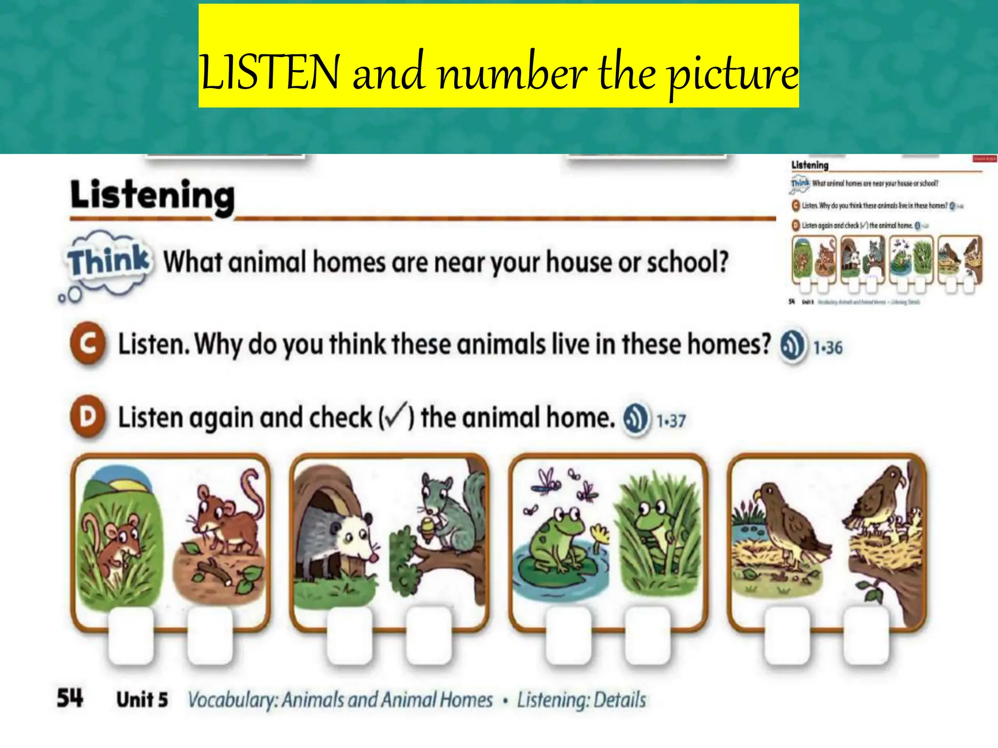 Oxford Discover 1 (Unit 4) My friend, Anak. For Grade 3 | PPT