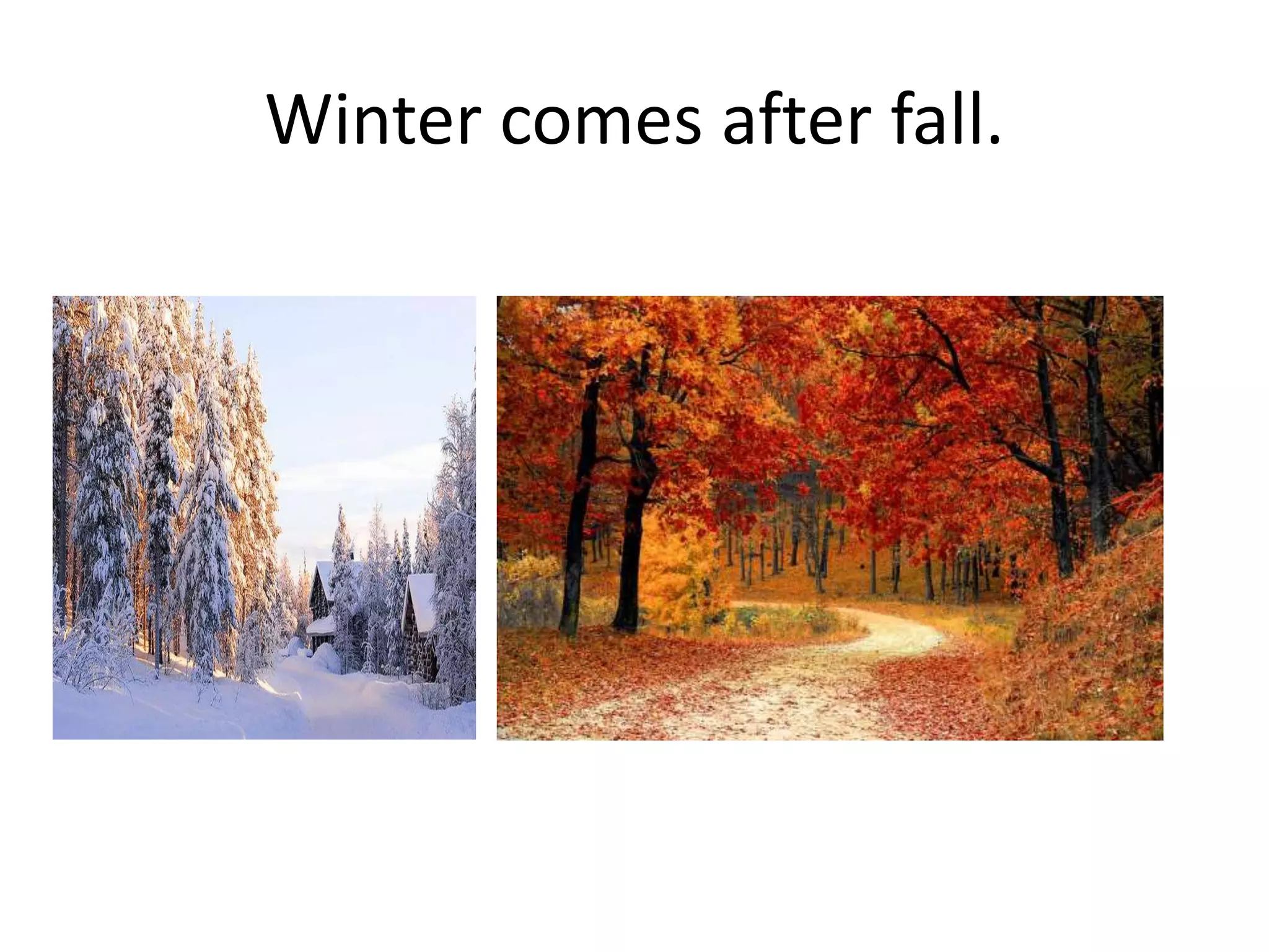 THE FOUR SEASONS GRADE 1 | PPTX