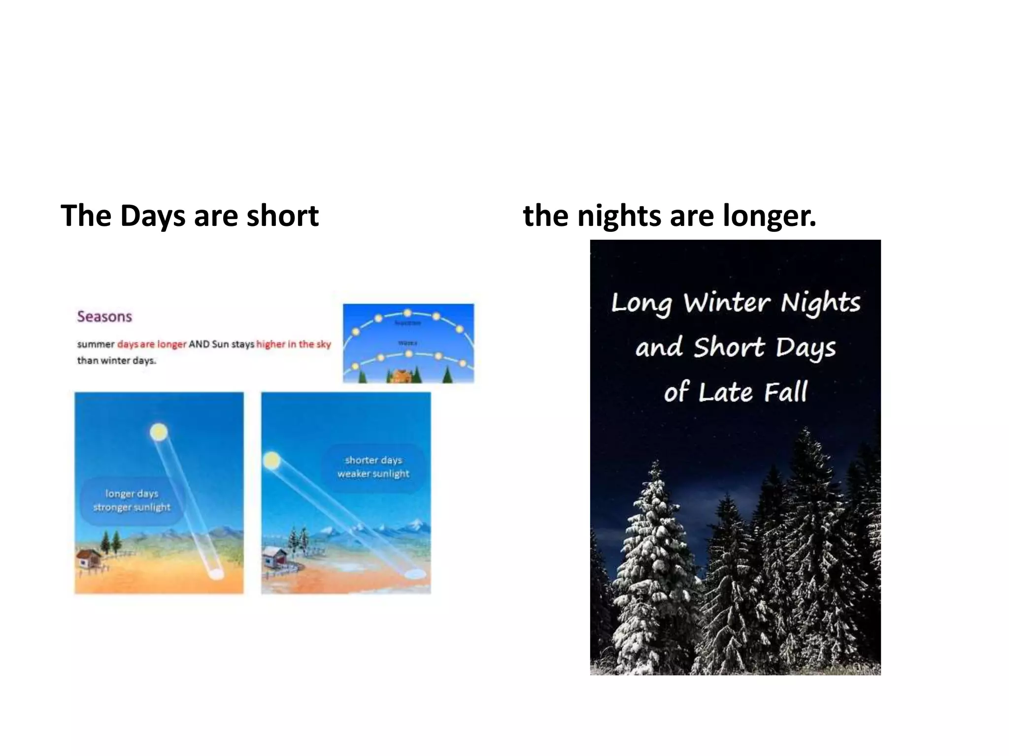 THE FOUR SEASONS GRADE 1 | PPTX