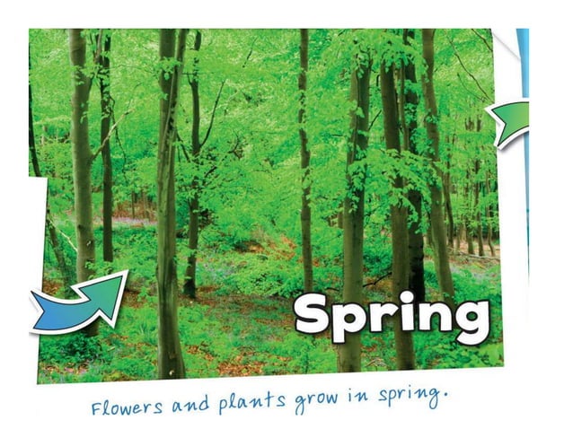 THE FOUR SEASONS GRADE 1 | PPTX | Weather | Science