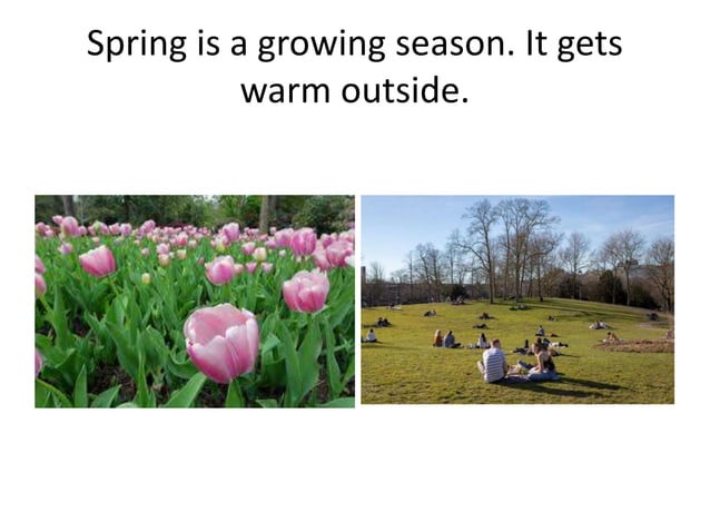 THE FOUR SEASONS GRADE 1 | PPTX | Weather | Science