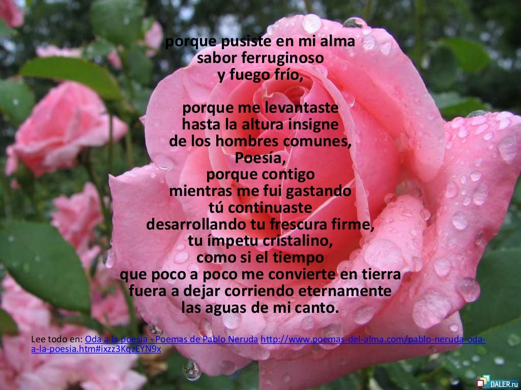 Oda a la poesía pablo neruda