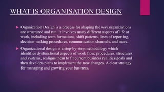 ORGANISATION DESIGN assignment 2 | PPT