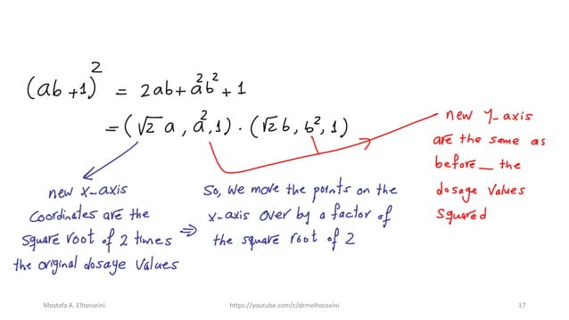 Lecture 24 support vector machine kernel | PDF
