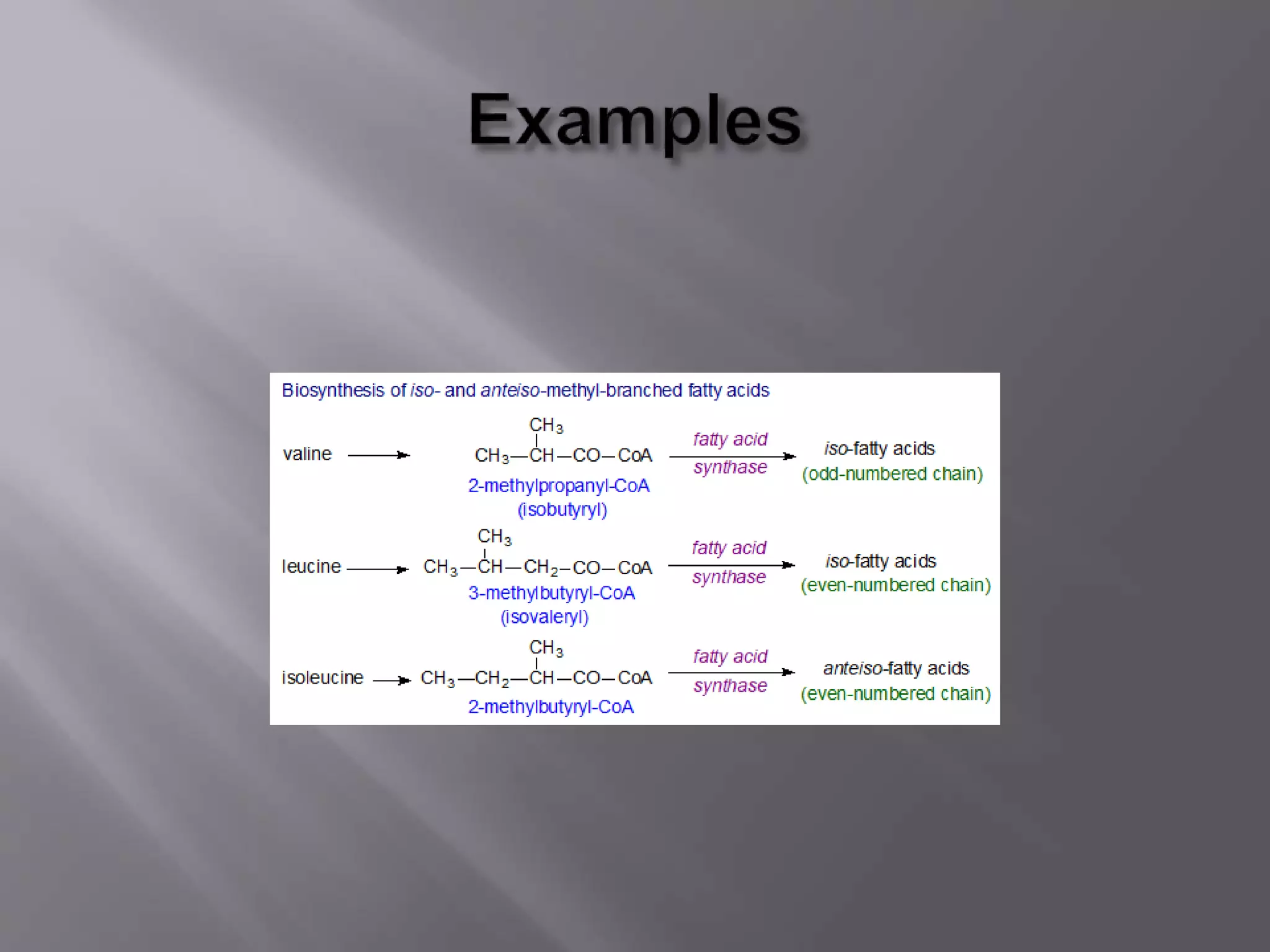 Odd and branched chain fatty acid | PPTX