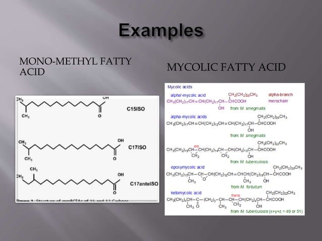 Odd and branched chain fatty acid | PPTX